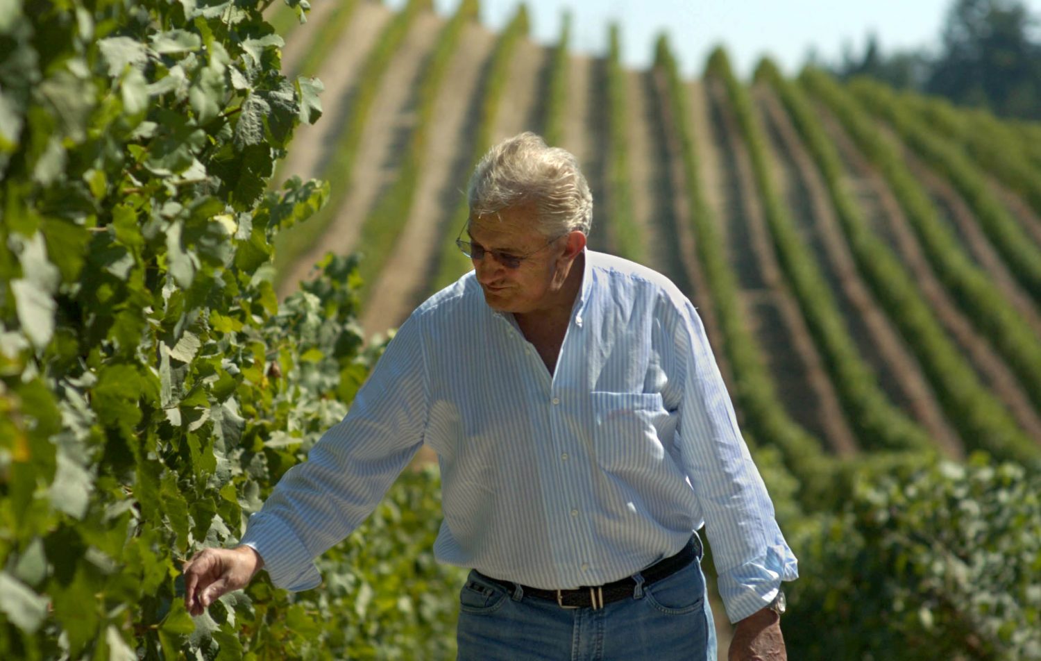 Donald Louis Carano | Co-Founder | Lazy Creek Vineyards
